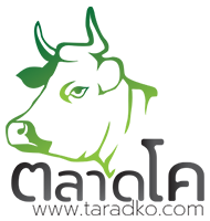 โคพันธุ์บราห์มัน (Brahman) Archives – ตลาดโค.com (www.taradko.com) คือ ...